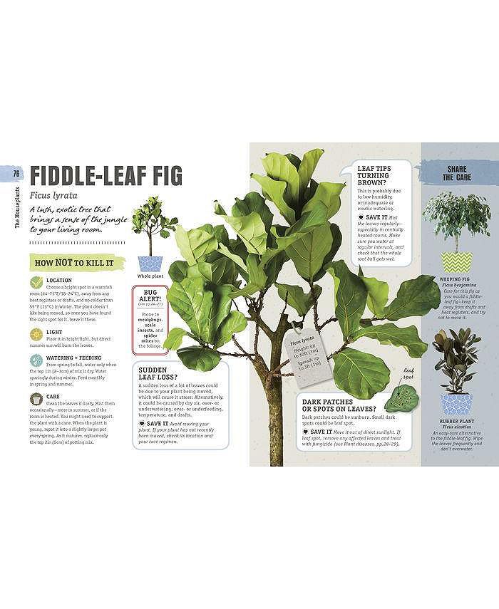 Barnes & Noble How Not to Kill Your Houseplant- Survival Tips for the ...