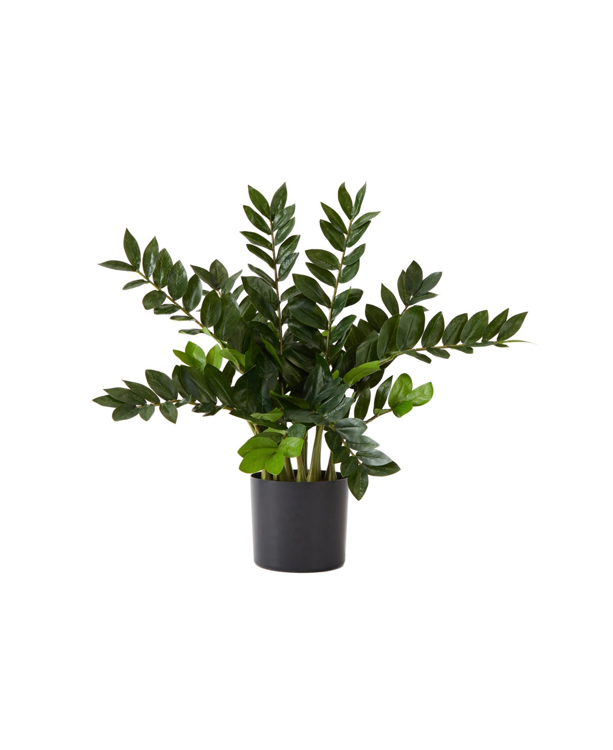 Click here for Nearly Natural 28 Artificial Zamioculcas Plant wit... prices