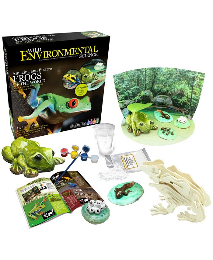 WILD! Science Wild Environmental Science - Amazing and Bizarre Frogs of ...