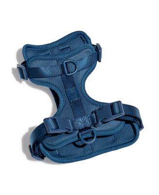 Wild One Extra Small Harness - Macy's