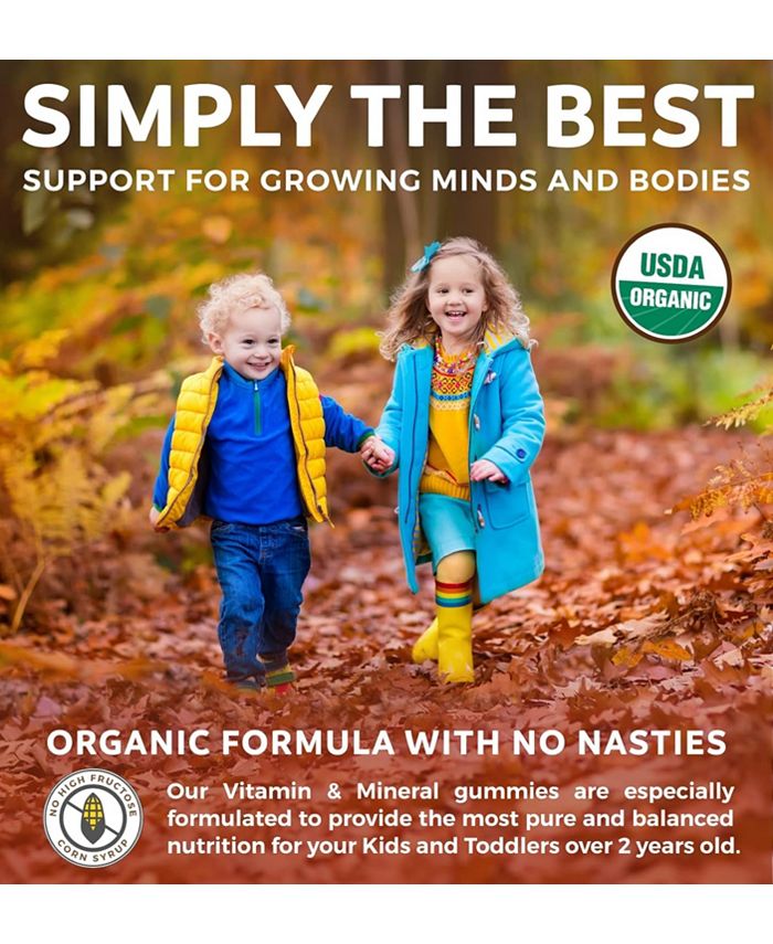 Healths Harmony USDA Organic Kids Vitamin Gummies (Non-GMO) Yummy ...