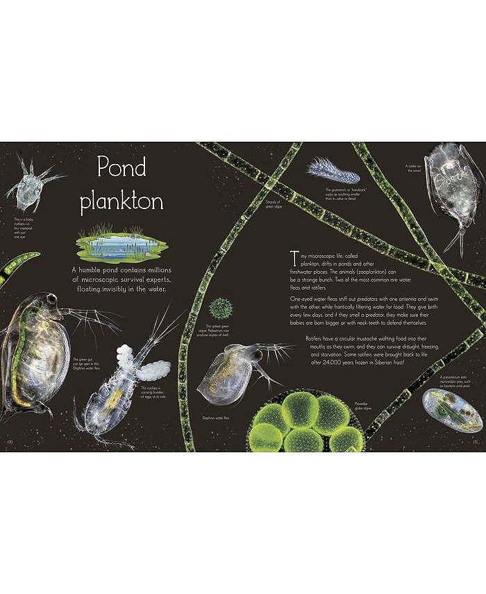 Barnes & Noble An Anthology of Aquatic Life by Sam Hume - Macy's