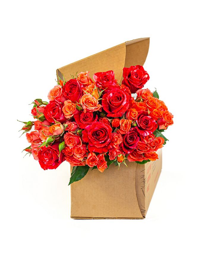 BloomsyBox Mango Tango Blooms Fresh Flower Bouquet - Macy's