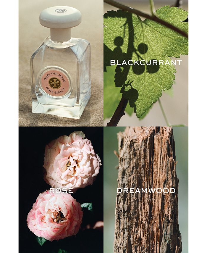 Tory Burch 3-Pc. Essence of Dreams Sublime Rose Eau de Parfum Gift Set ...