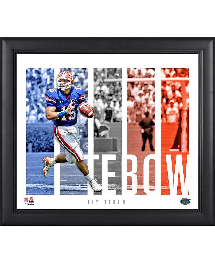 Fanatics Authentic Tim Tebow Florida Gators Framed 15'' x 17'' Player ...