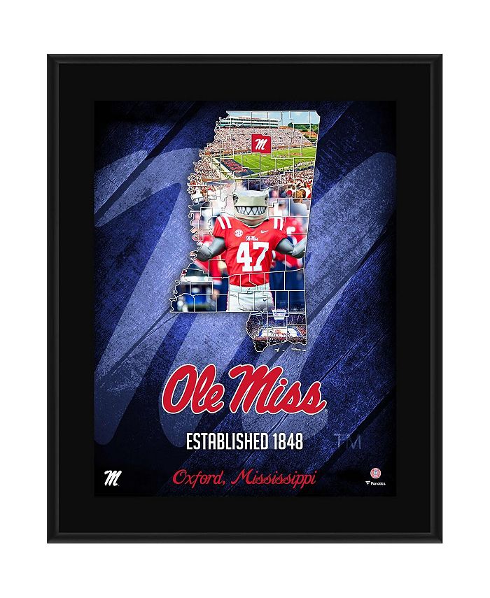 Fanatics Authentic Ole Miss Rebels 10.5" x 13" 2018 Sublimated State ...