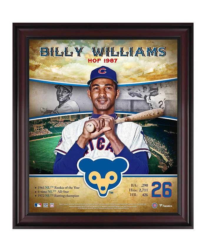 Fanatics Authentic Billy Williams Chicago Cubs Framed 15" x 17" Hall of ...