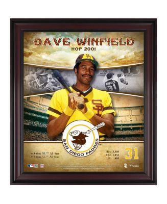 Dave Winfield San Diego Padres Framed 15" x 17" Hall of Fame Career ...