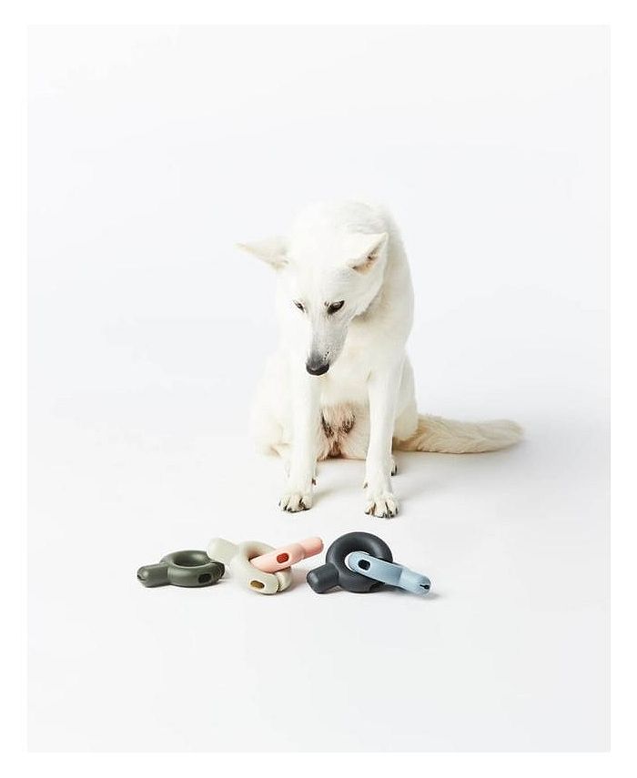 Fable Pets Falcon Dog Toy - Macy's