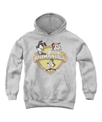 Animaniacs Youth Shielded Pull Over Hoodie / Hooded Sweatshirt - Macy's