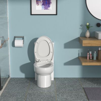 Streamdale Furniture Ceramic One Piece Toilet, Dual Flush With Soft ...