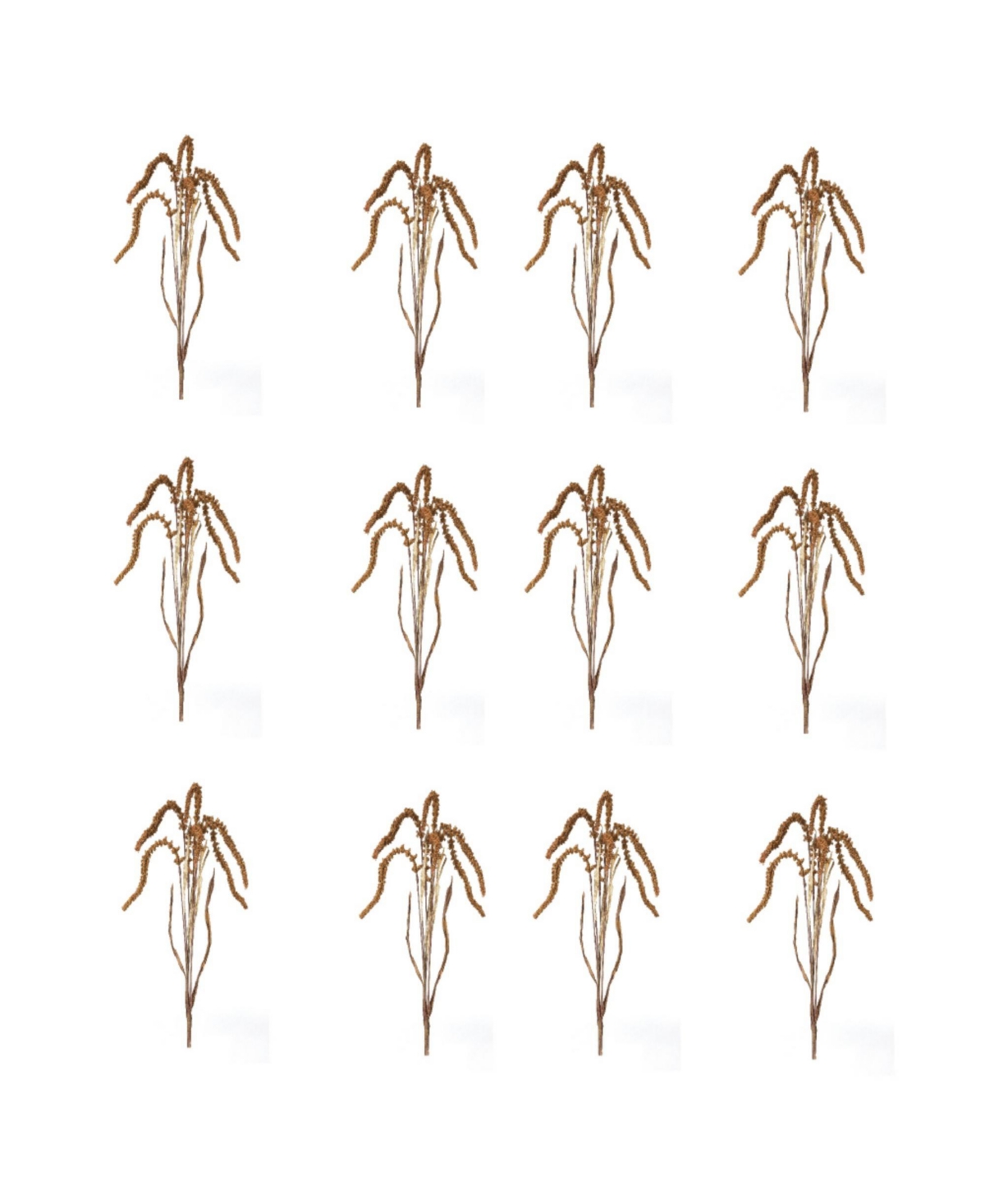 Click here for Set of 12 Amaranthus Stems for Decorative Arrangem... prices