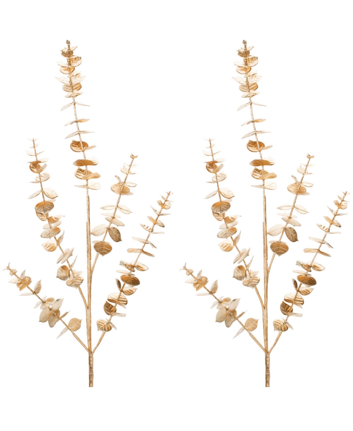 Click here for Slickblue Set of 2 Eucalyptus Sprays – Grea... prices