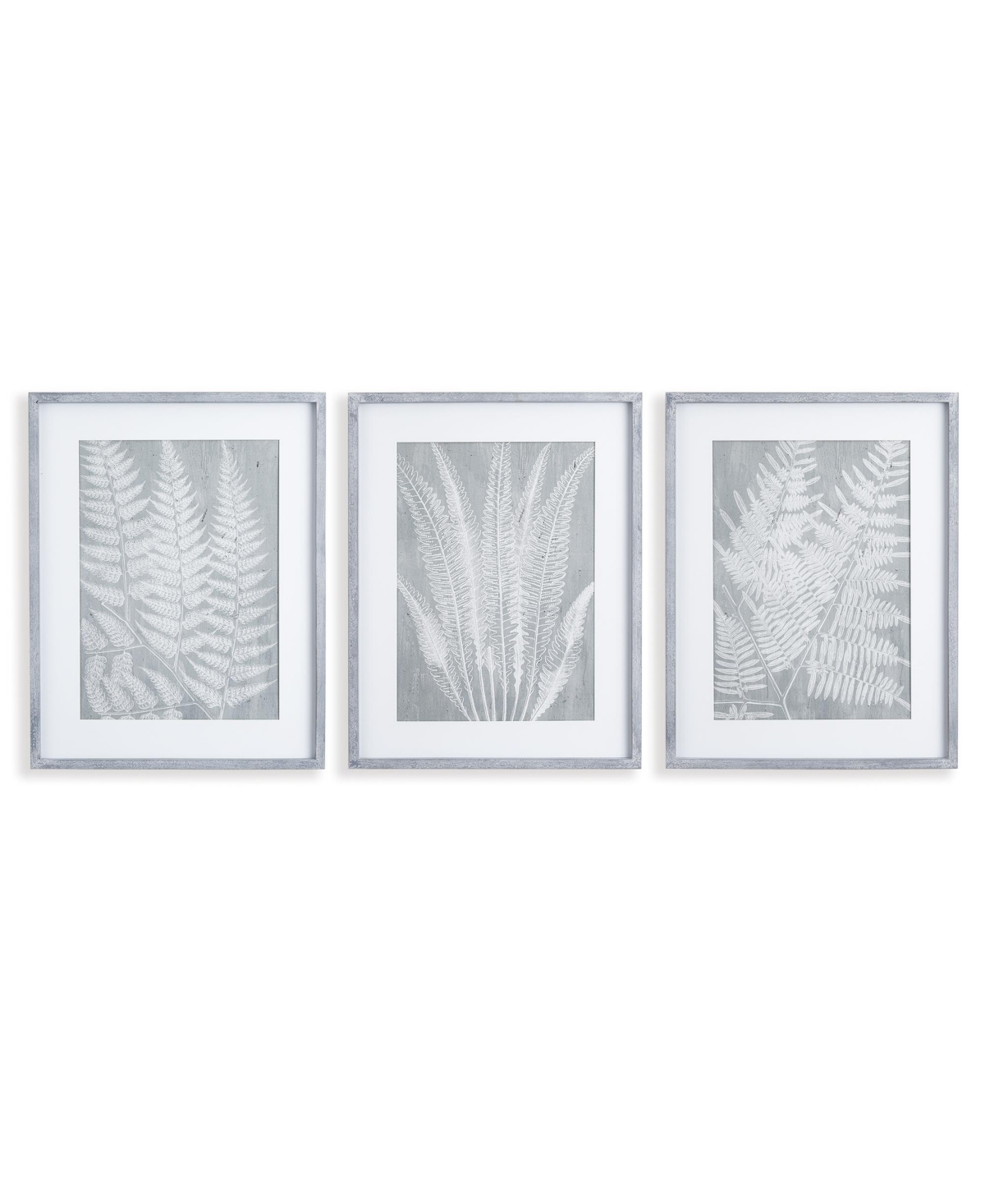 Click here for Fern Frond Prints  Set Of 3 - Green prices