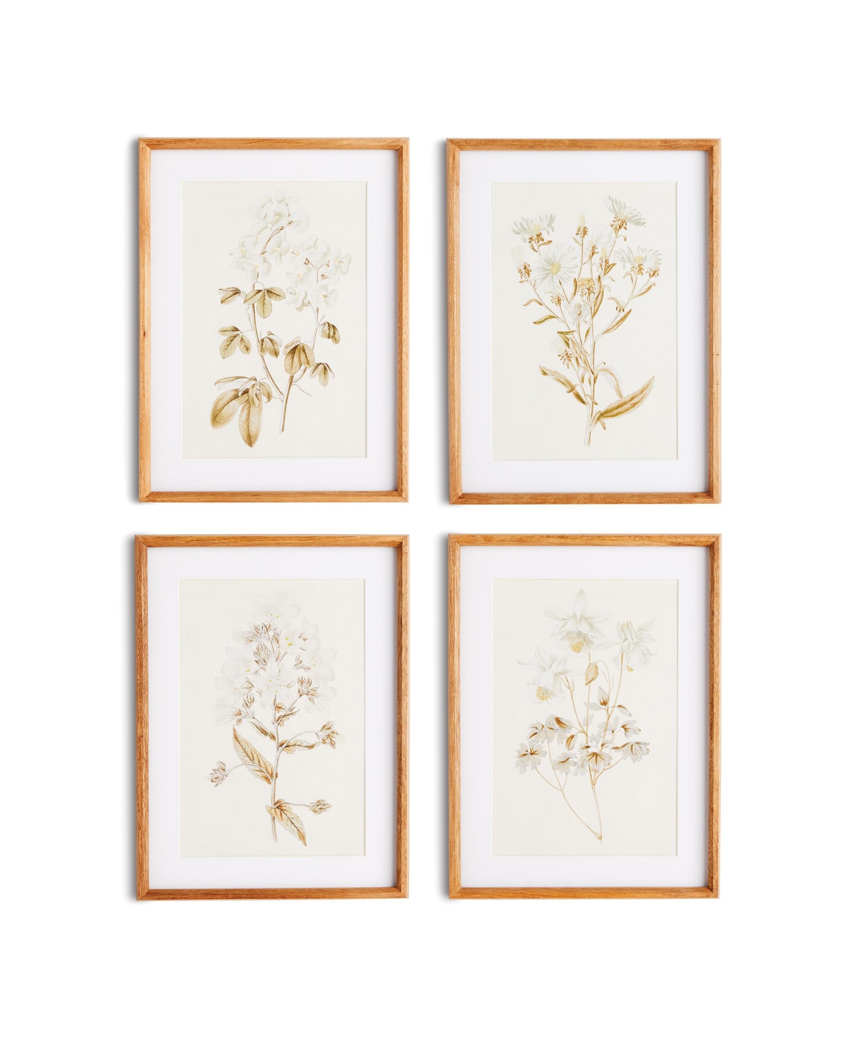 Click here for Fleur De Blanc Prints Set of 4 - Brown prices