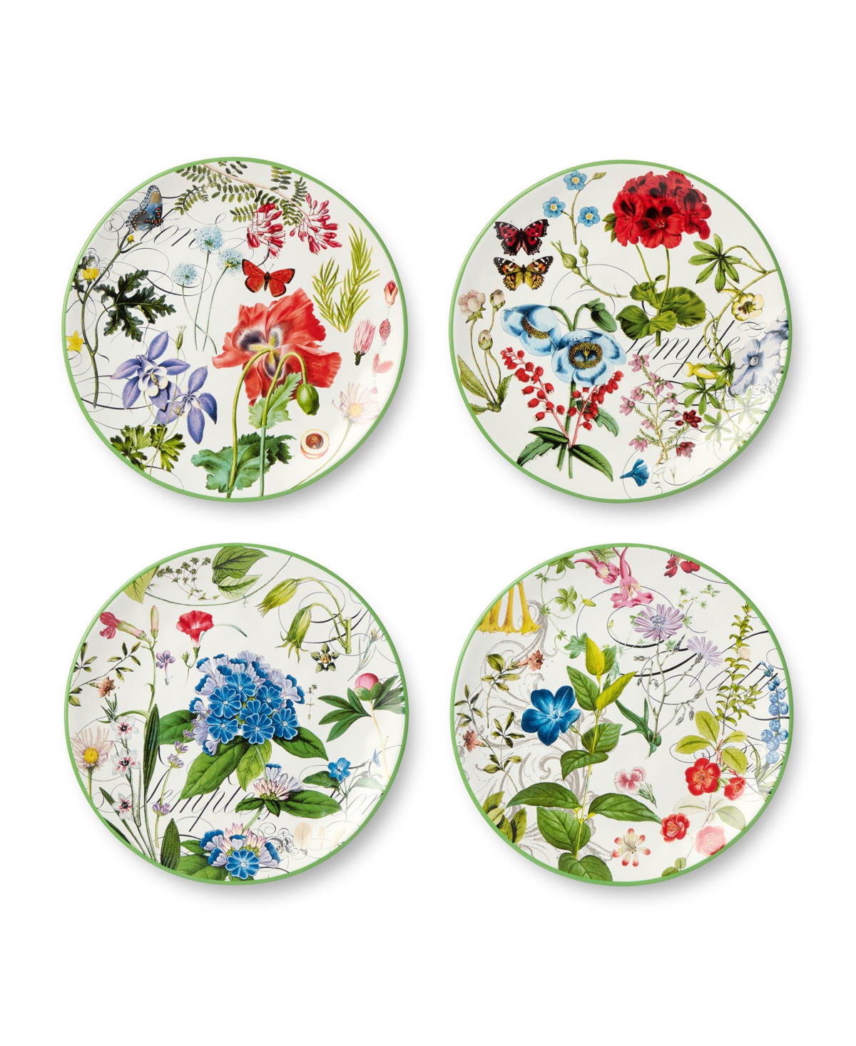 Click here for Certified International Greenhouse Salad Plates  S... prices