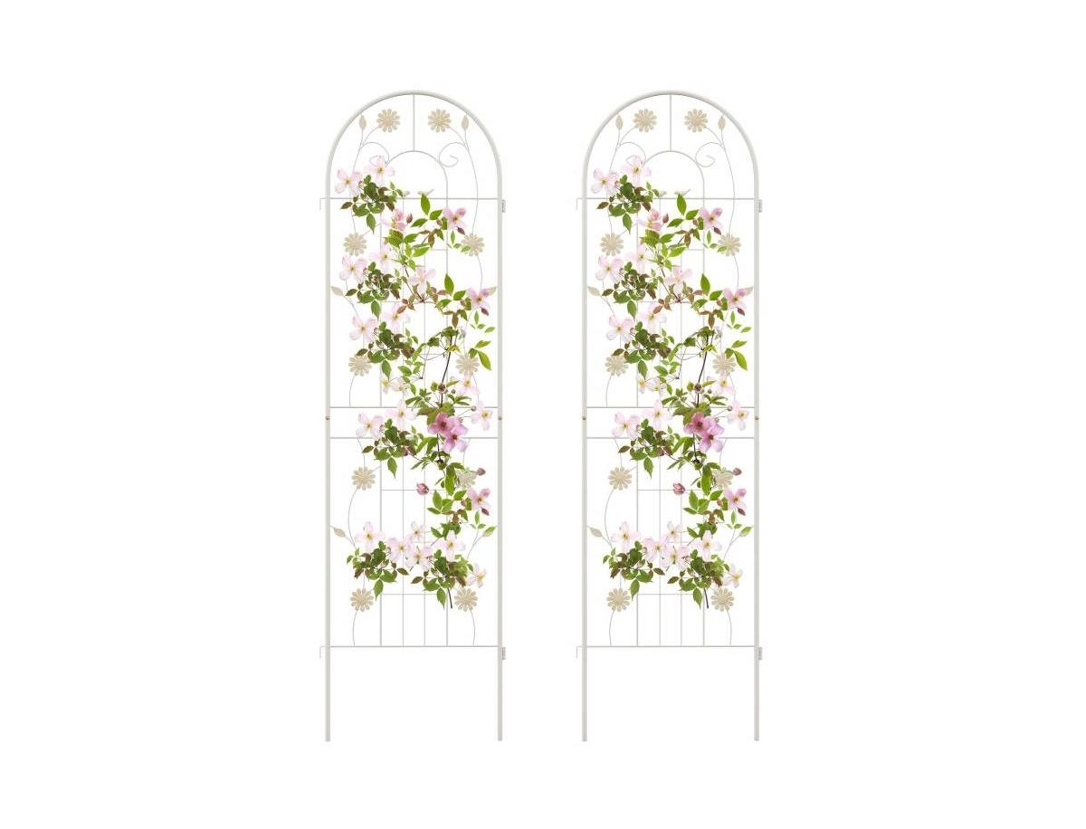 Click here for Outdoor Garden Trellis for Climbing Plants and Dec... prices