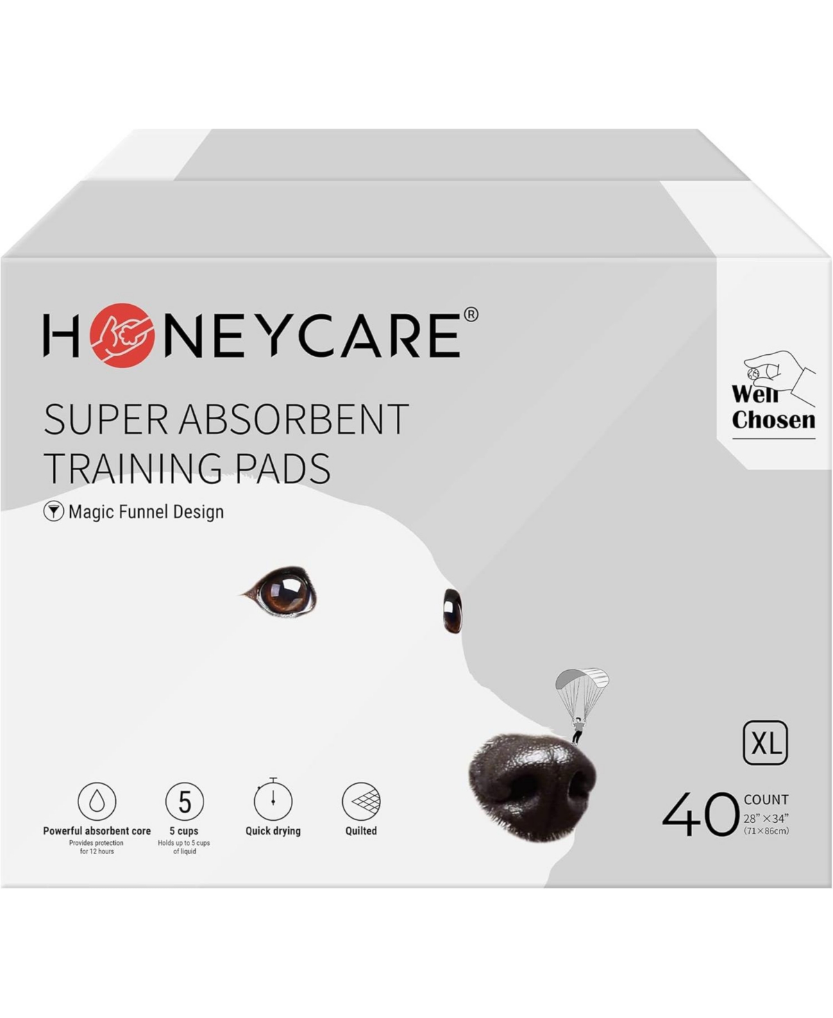 Click here for HoneyCare Magic Funnel All-Absorb Dog Puppy Traini... prices