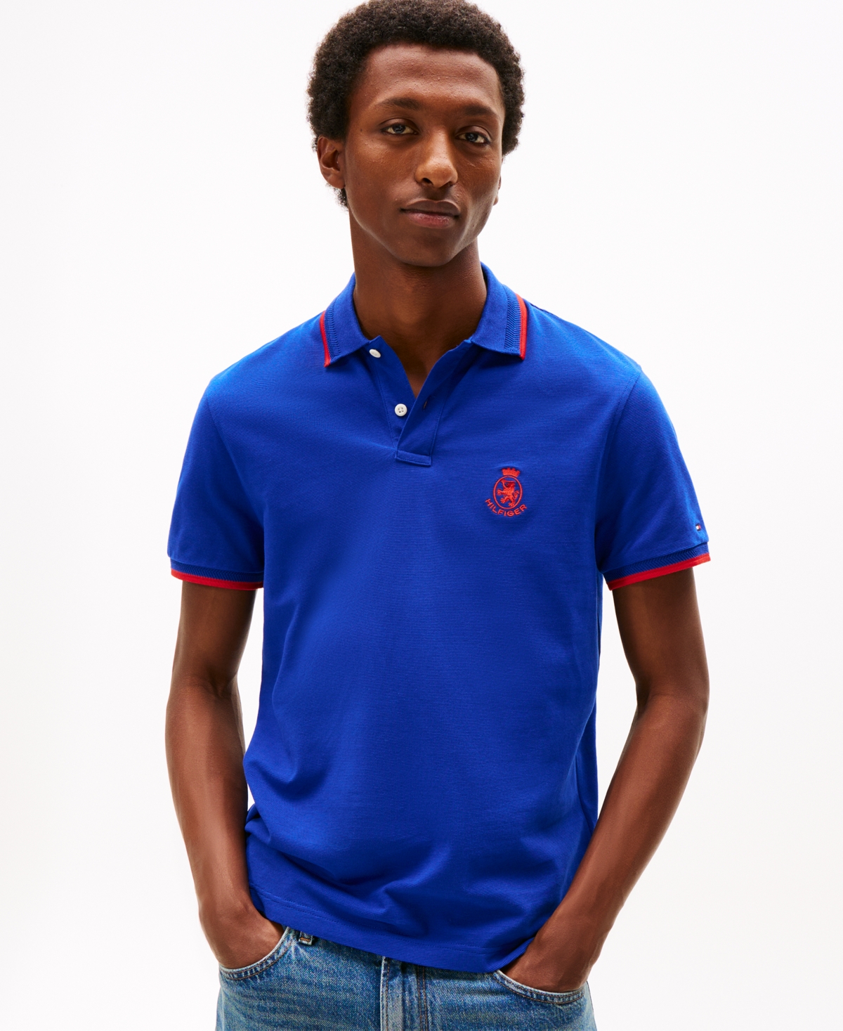 Click here for Tommy Hilfiger Mens Holiday Crest Regular Fit Polo... prices