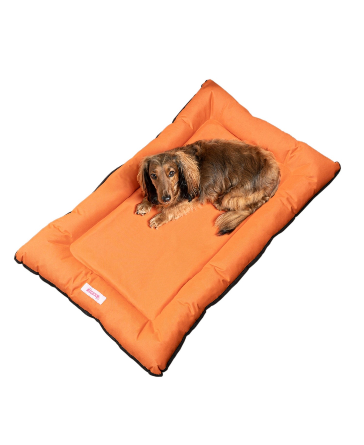 Click here for Archie Traditional Oxford Waterproof Indoor/Outdoo... prices
