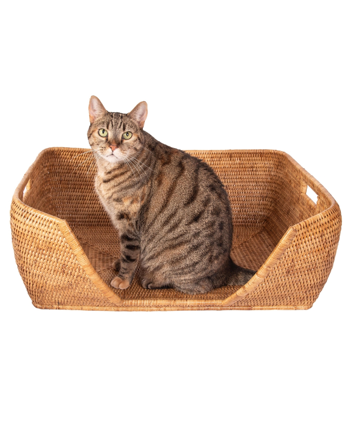 Click here for Artifacts Rattan Pet Bed - Honey brown prices