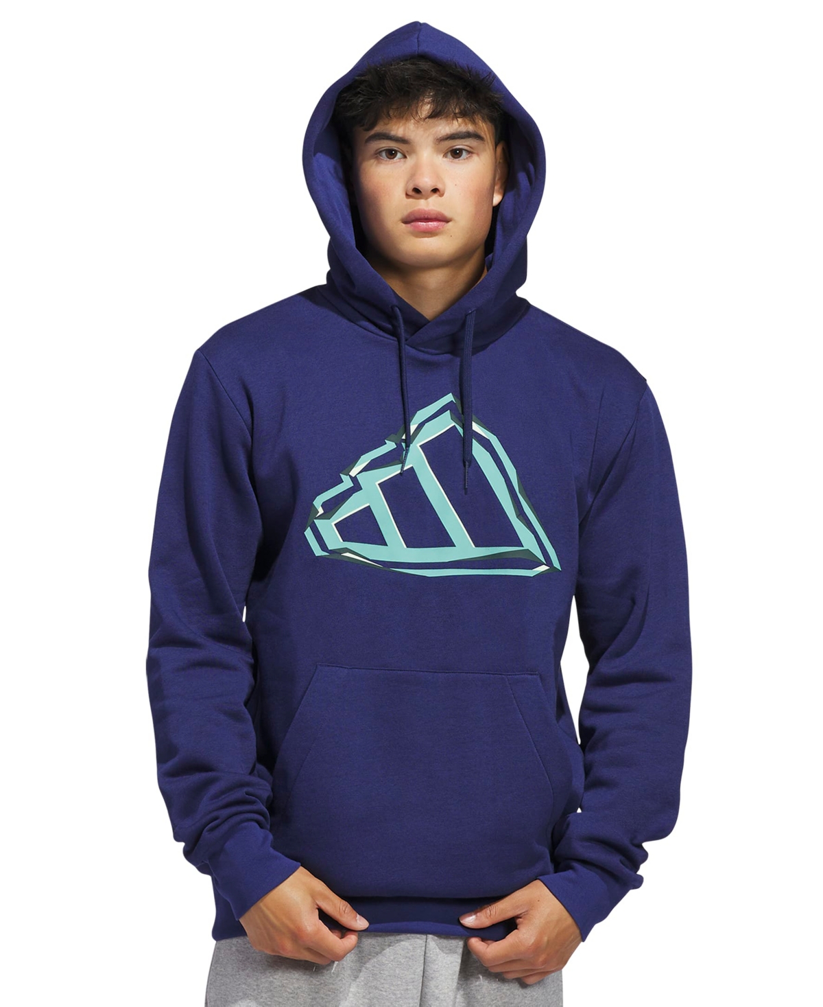 Click here for adidas Mens Graphic Big Logo Sportswear Hoodie - N... prices