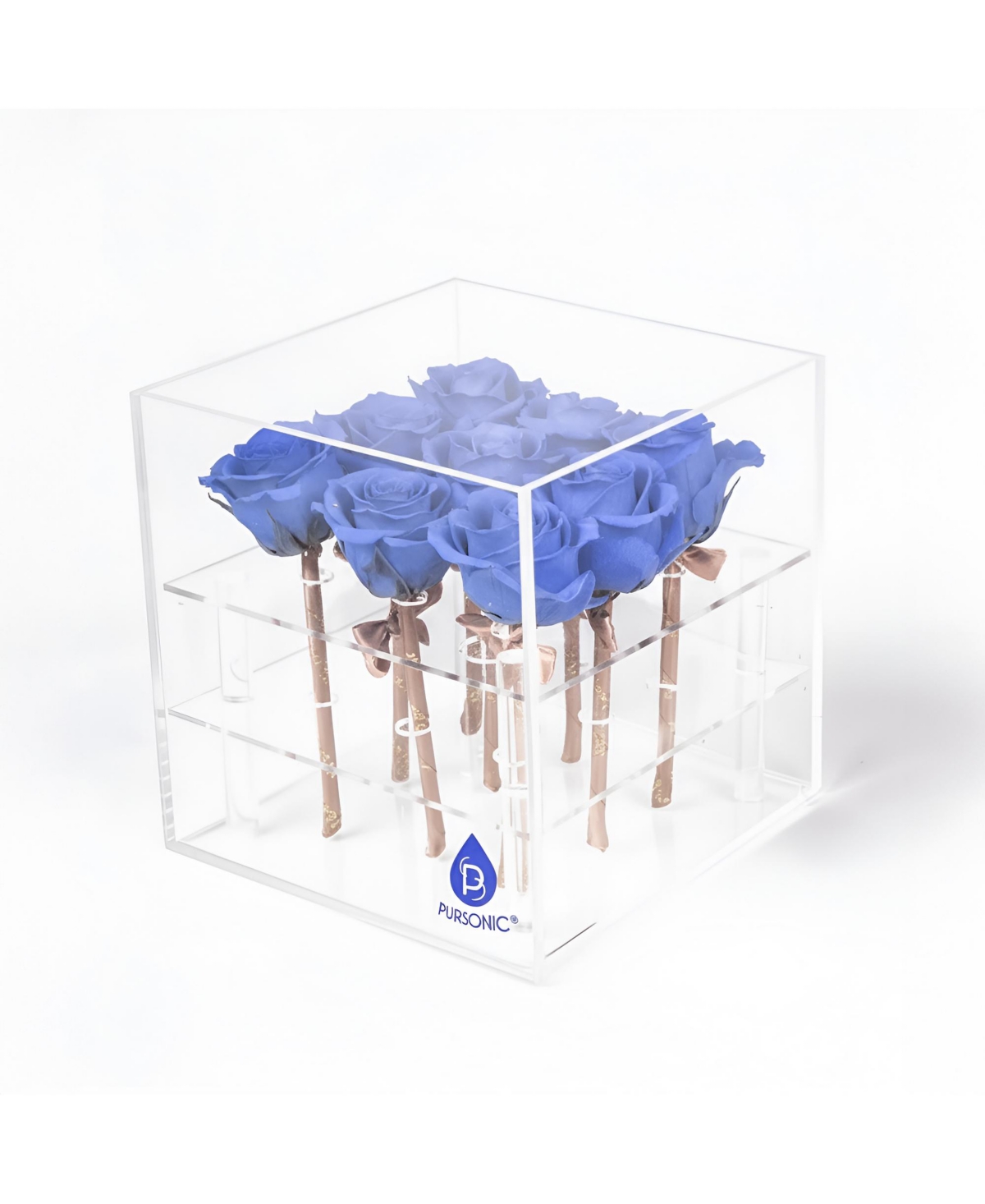 Click here for 9 Preserved Roses in Acrylic Box: 100 Real Natural... prices