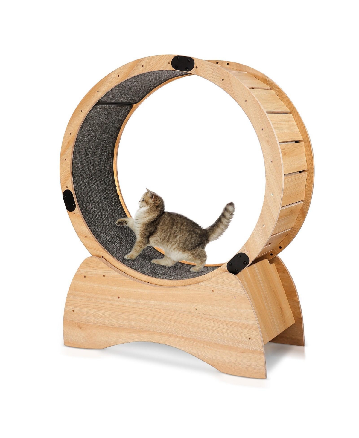Click here for Flynama Silent Cat Exercise Wheel with Convertible... prices