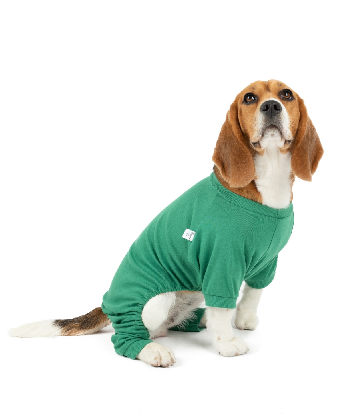 Click here for Leveret Dog Cotton Solid Pajamas - Green prices