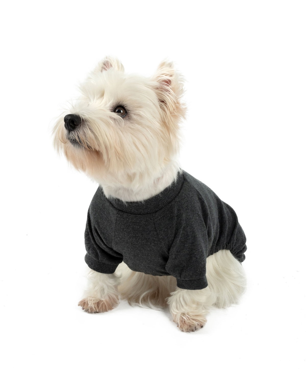 Click here for Leveret Dog Cotton Solid Pajamas - Dark Gray prices
