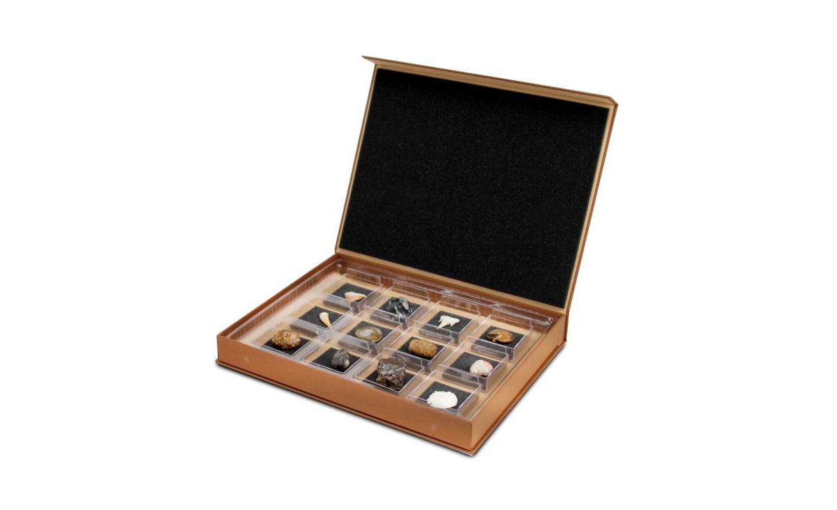 Click here for Geoworld The Nature Collection - Fossils Set 1 prices
