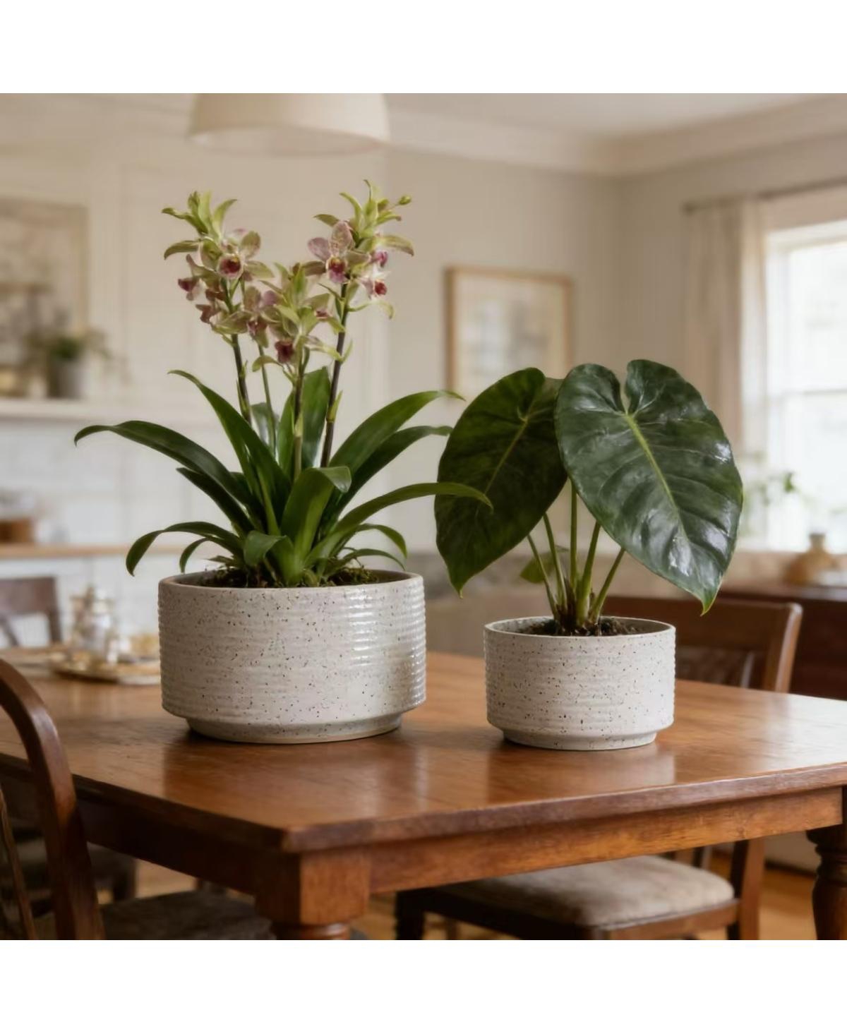 Click here for Streamdale Furniture Handmade Ceramic Planter Set... prices