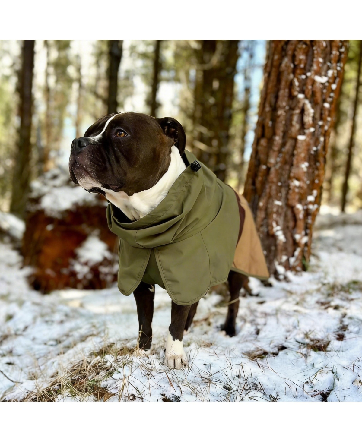 Click here for Aronkl Dog Raincoat - Waterproof  Windproof  Refle... prices