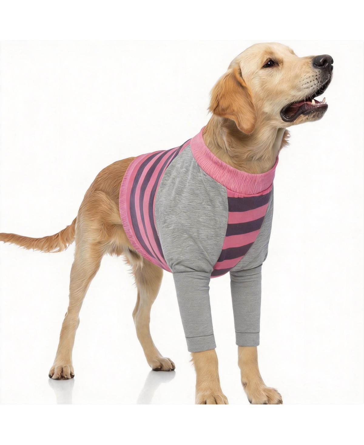 Click here for Aronkl Dog Recovery Sleeve for Front Leg Joint Pro... prices