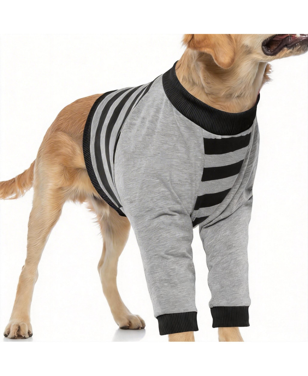 Click here for Aronkl Dog Recovery Sleeve for Front Leg Joint Pro... prices