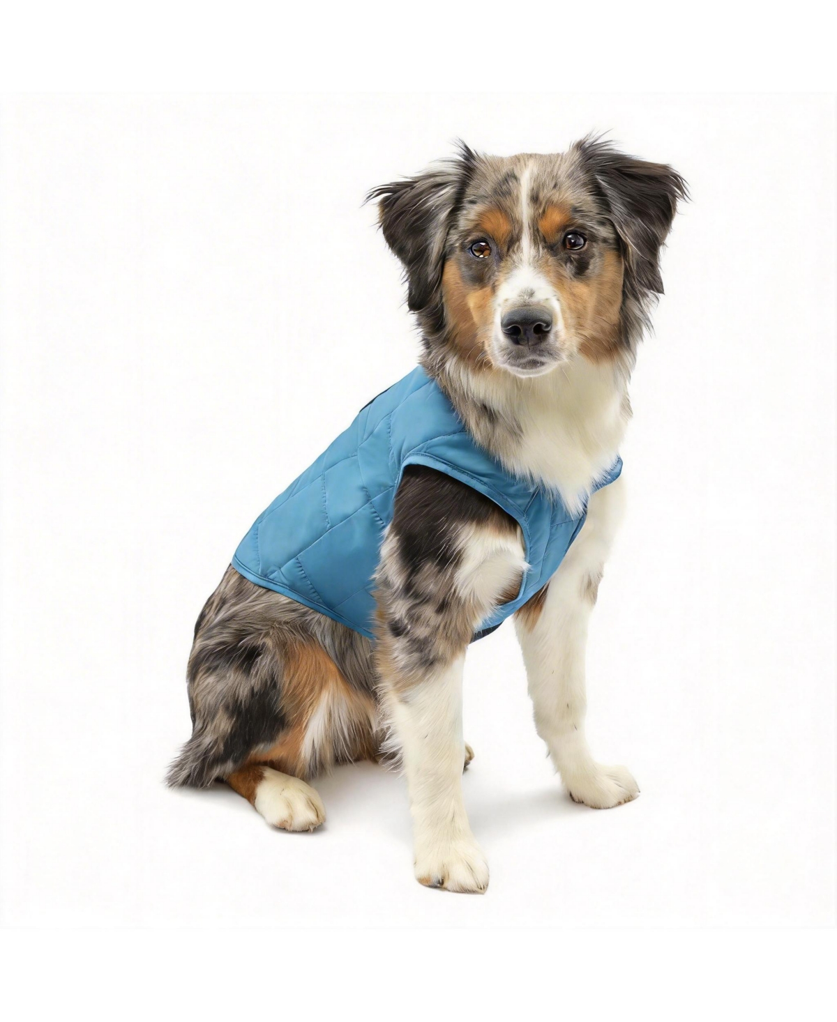 Click here for Aronkl Loft Dog Jacket: Insulated  Reversible  Wat... prices