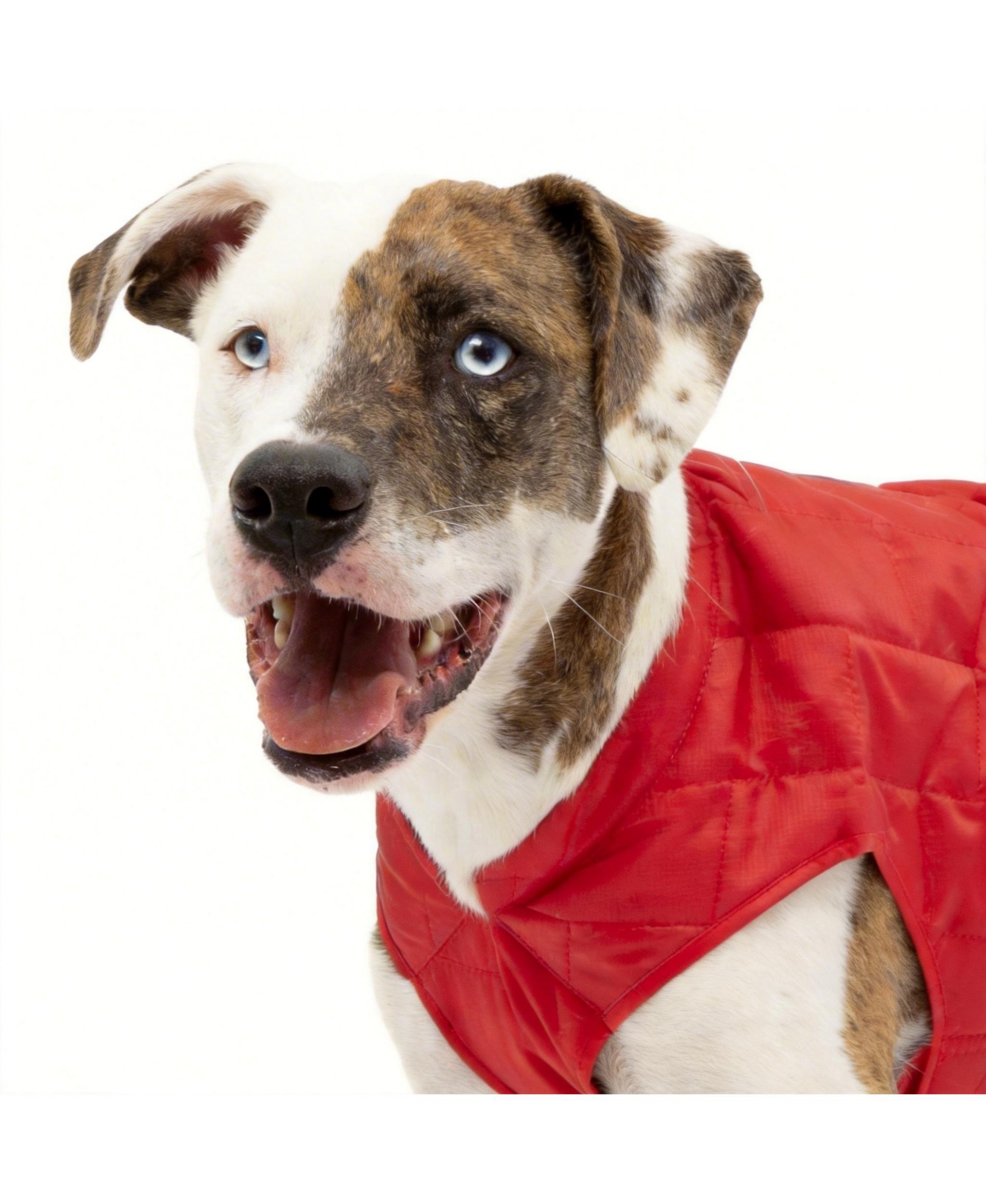 Click here for Aronkl Loft Dog Jacket: Insulated  Reversible  Wat... prices