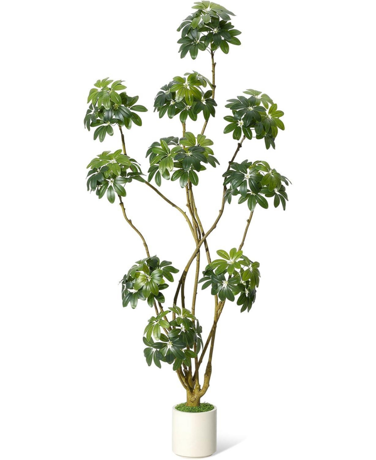 Click here for 7 ft Umbrella Schefflera Artificial Tree with Deco... prices