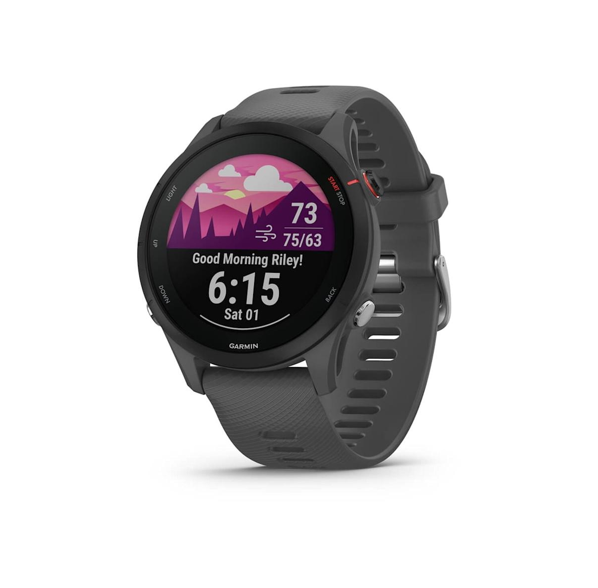 Click here for Garmin Unisex Watch Forerunner 255 - Slate gray prices