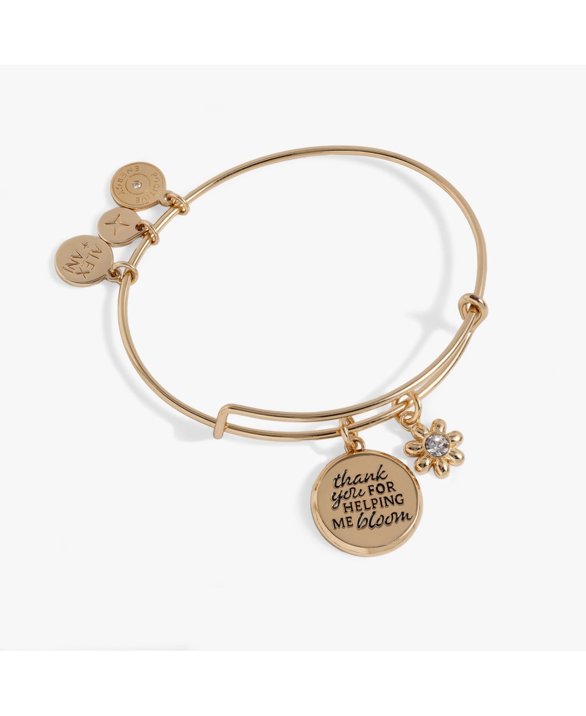 Click here for Alex and Ani Thank You For Helping Me Bloom Charm... prices