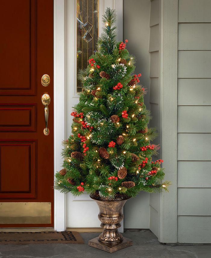 National Tree Company 4' Crestwood Spruce Entrance Tree with 100 Clear ...