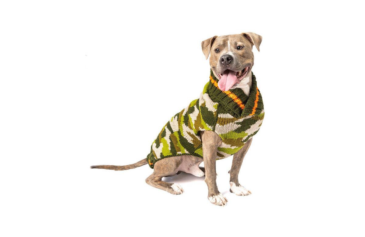Click here for Chilly Dog Xxl Camo Sweater - white prices