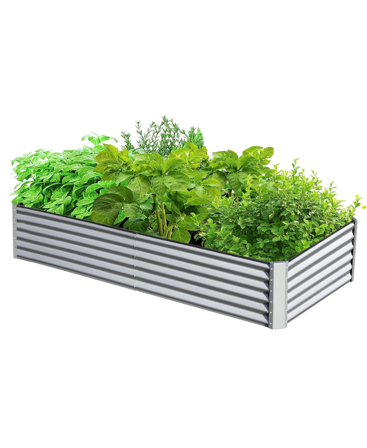 Click here for Mondawe 6x3x1.5feet Galvanized Raised Garden Bed -... prices