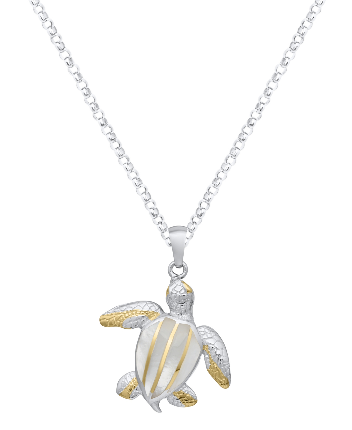 Click here for Macys Abalone Turtle Pendant Necklace in Sterling... prices