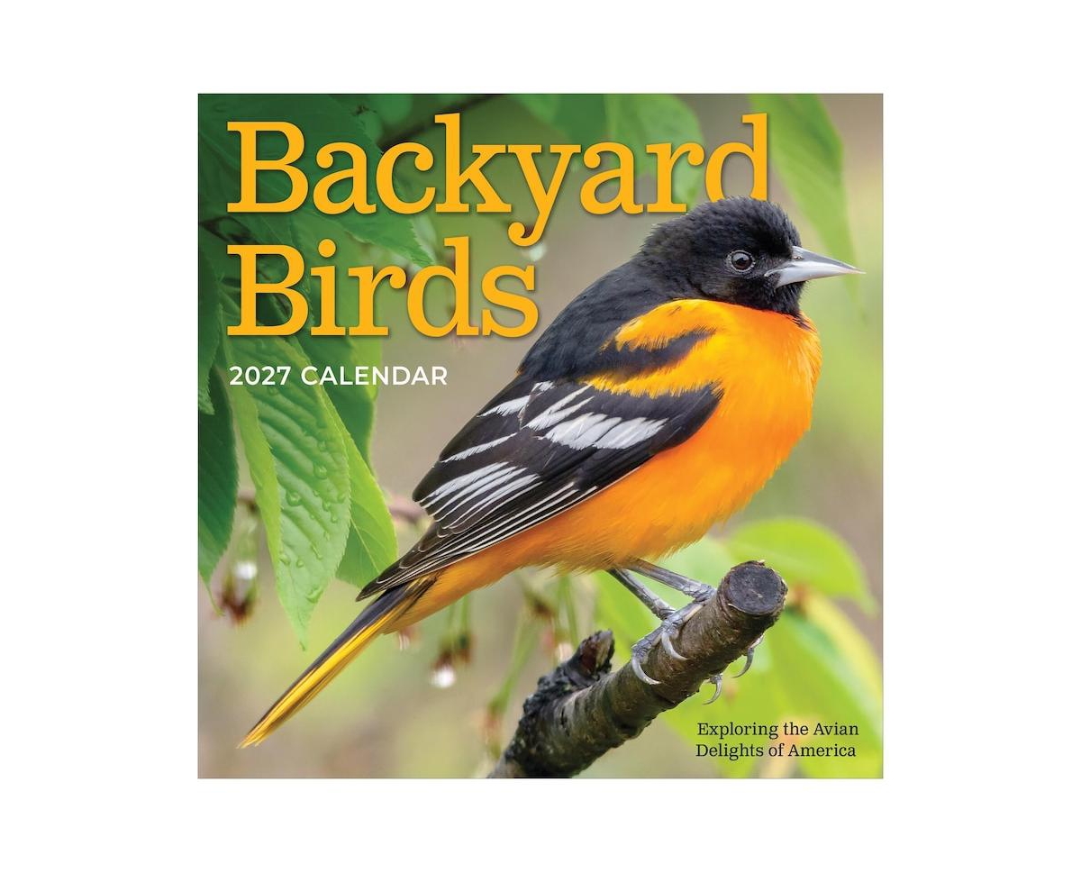 Click here for Tf Publishing Paper Goods 2027 Backyard Birds Mini... prices