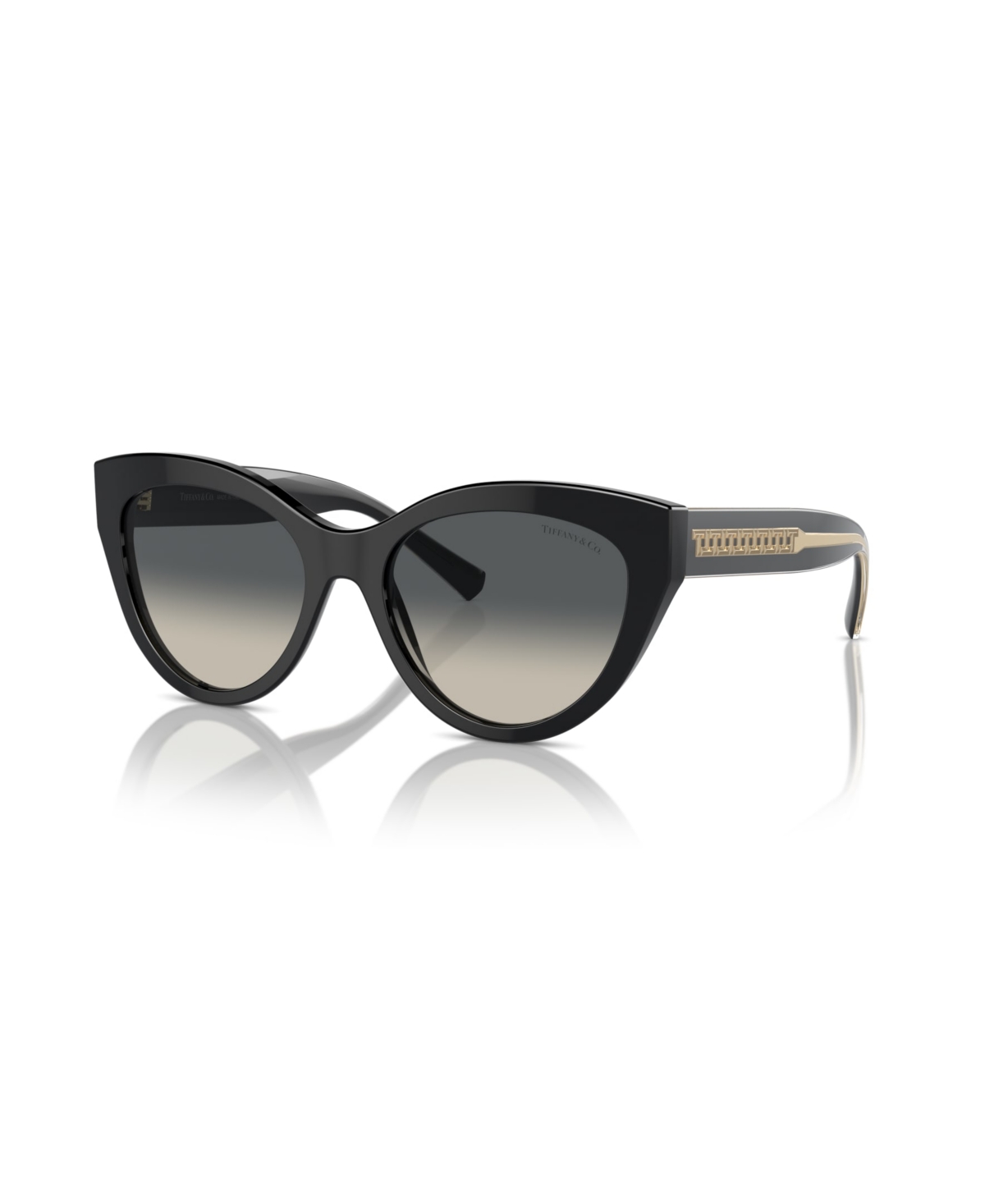 Click here for Tiffany & Co. Womens Sunglasses  TF4220F - Black prices
