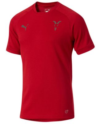 Puma Men's Chivas Crest T-Shirt - Macy's