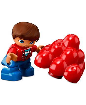 LEGO® Duplo Farm Pony Stable 10868 - Macy's