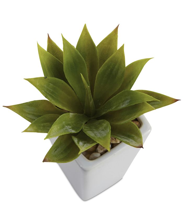 Nearly Natural 3-Pc. Mini Agave Artificial Plant Set in White Planters ...