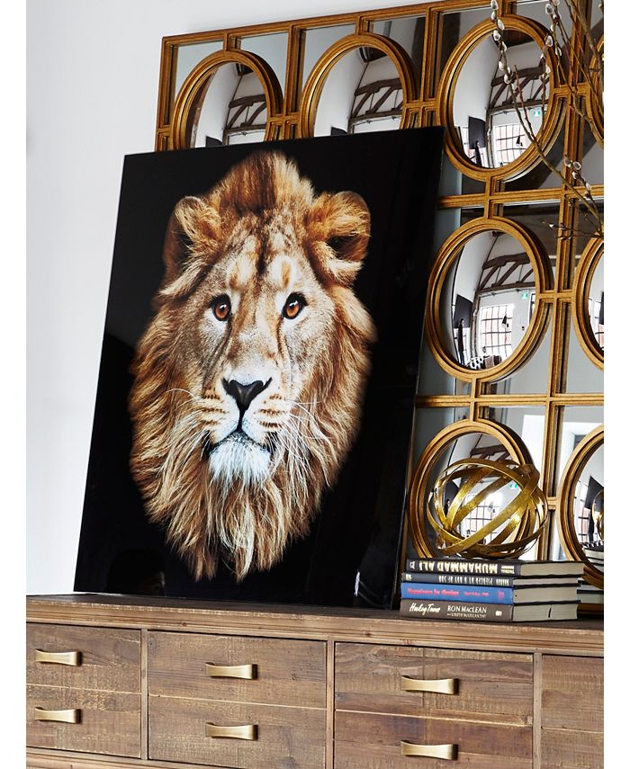Moe's Home Collection African Lion Wall Decor - Macy's